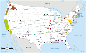 Muscadine: Widespread Variety in Southern US States